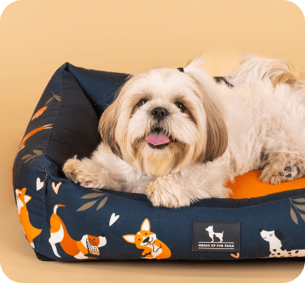 Online Pet Store for Pet Supplies & Products | HUFT SG