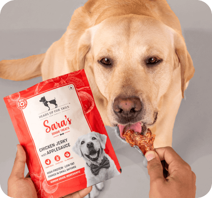 Online Pet Store for Pet Supplies & Products | HUFT SG